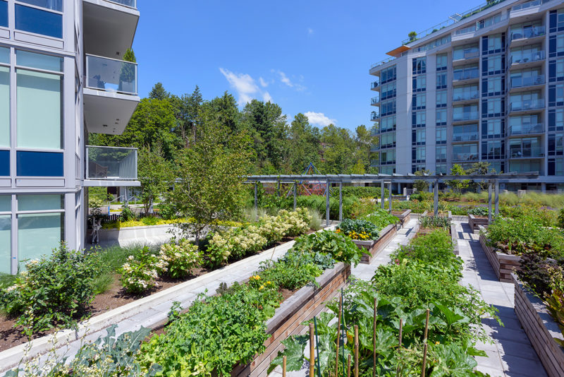 ETA Landscape Architecture | Landscape Architect in Vancouver, British ...