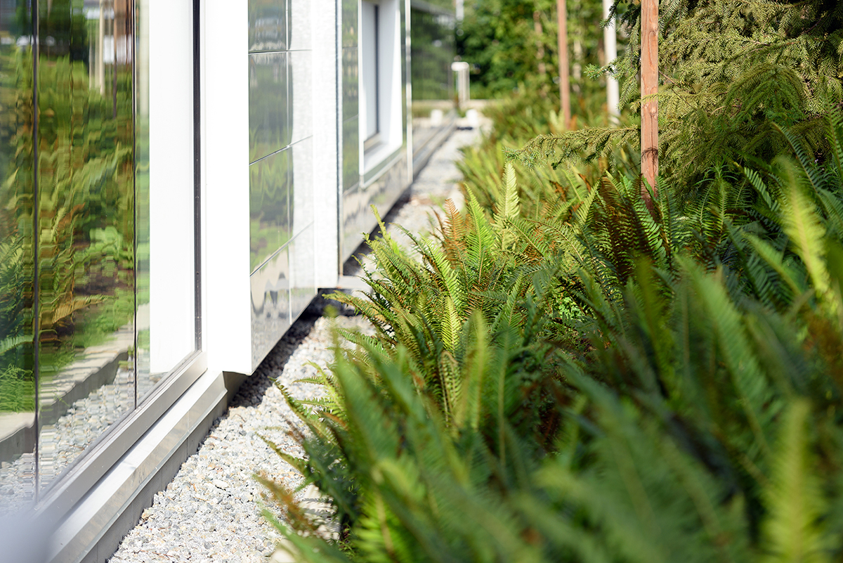 Emily Carr University | ETA Landscape Architecture