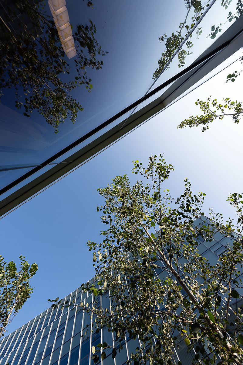 Emily Carr University | ETA Landscape Architecture