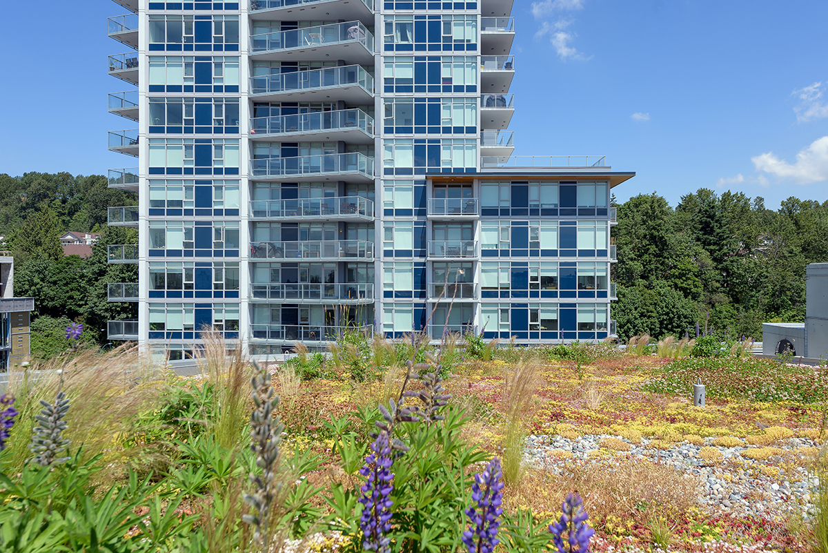 East Fraserlands: Parcel 17 | ETA Landscape Architecture