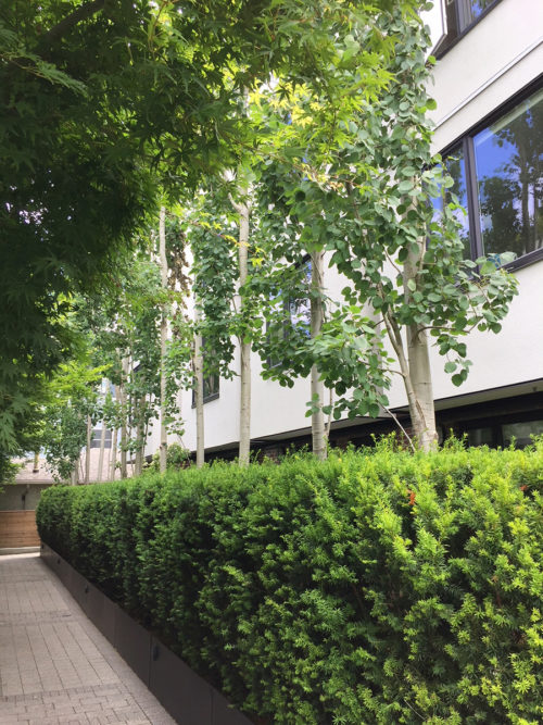 ETA Landscape Architecture | Landscape Architect in Vancouver, British ...